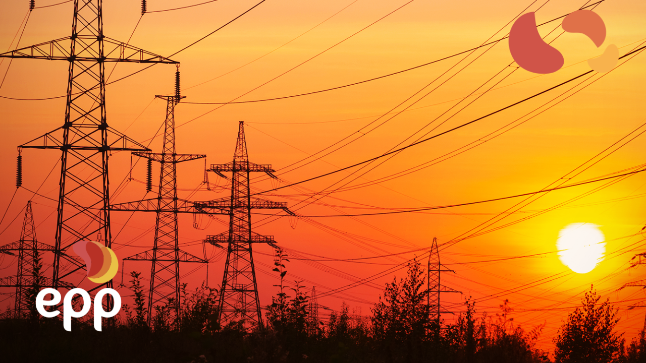 What are the regulatory agents of the Free Energy Market? – Evolution Power Partners